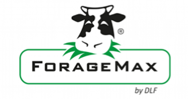 ForageMax