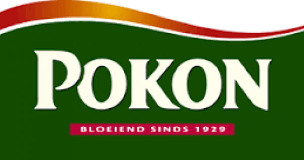 Pokon