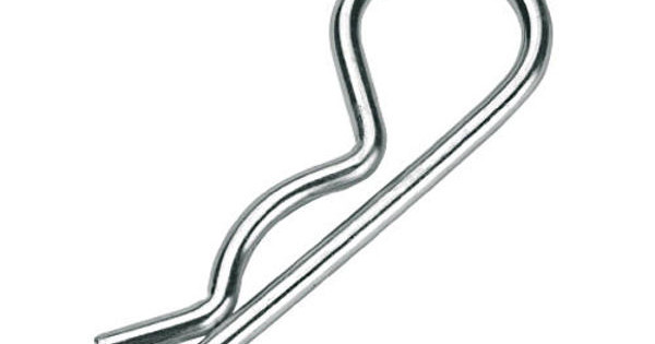 borgpennen en borgveren