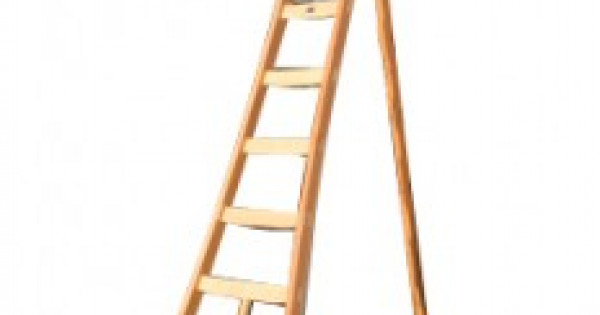 DRIEPOOT LADDER HOUT 14 SPORTEN