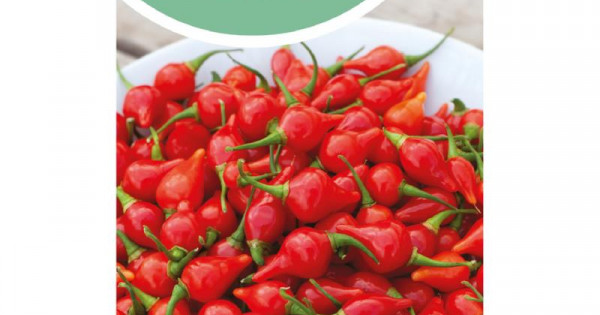 (24560) Peper Biquinho (zoete peper)